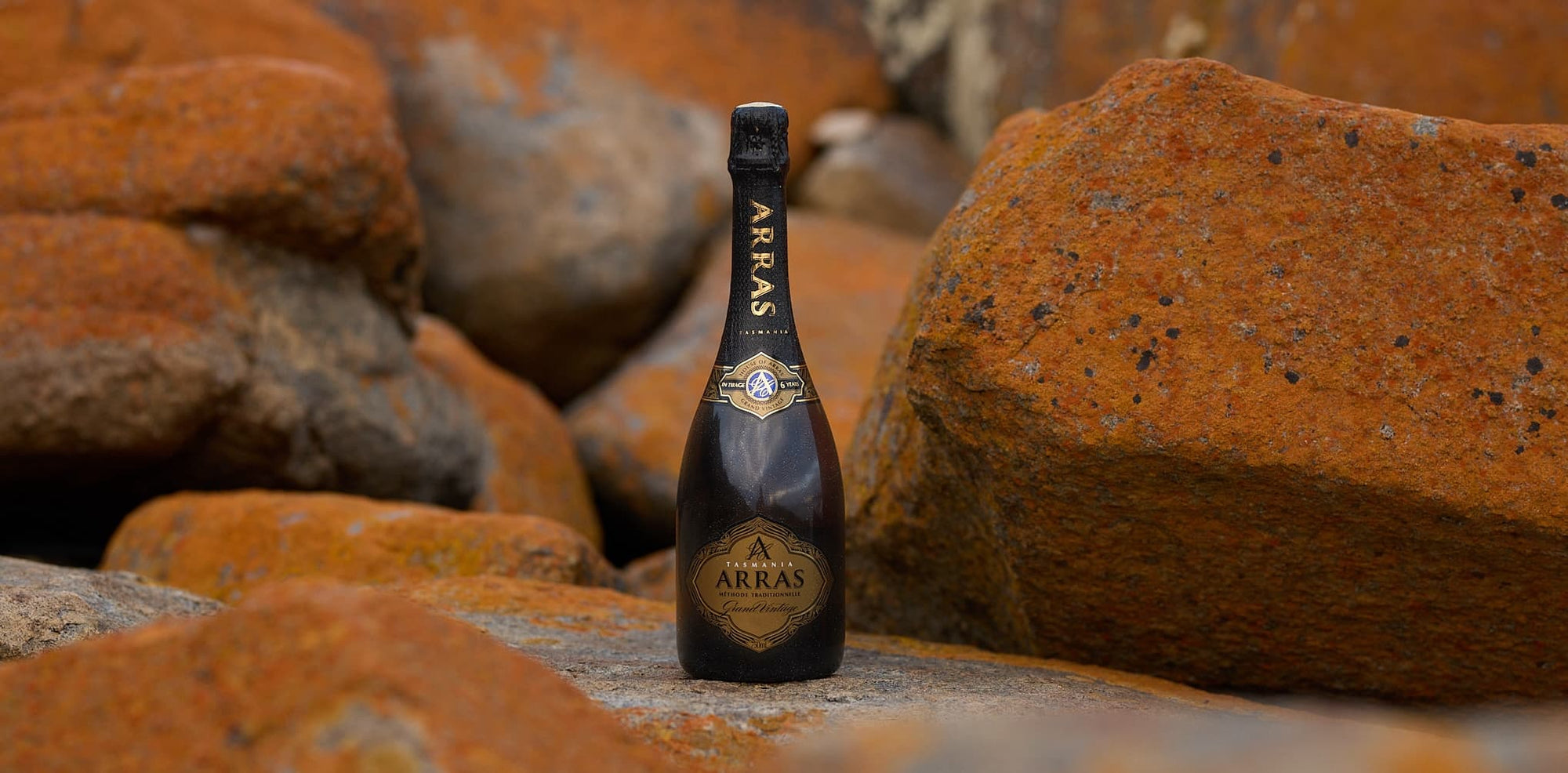 Best Sparkling Wine - House of Arras